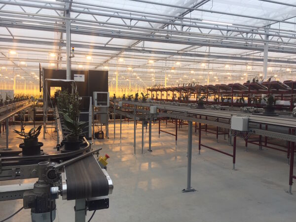 Vision systems for grading plants - Aris B.V.