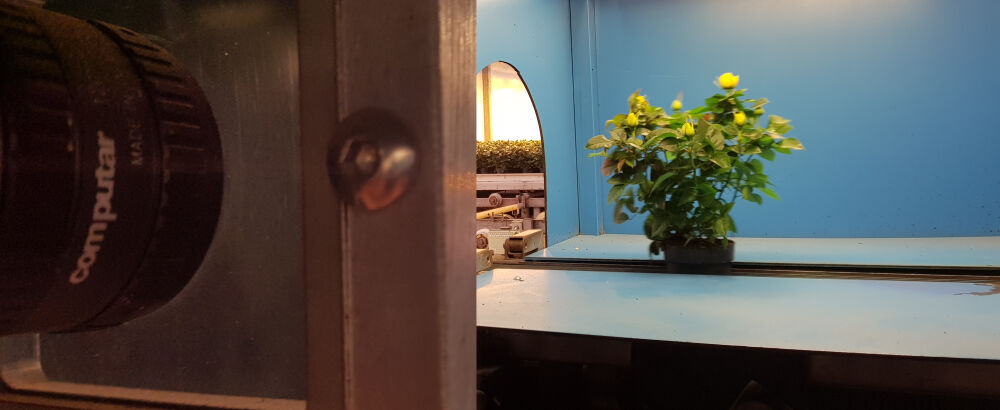 Grading and sorting potted plants with Aris smart Vision Software ...